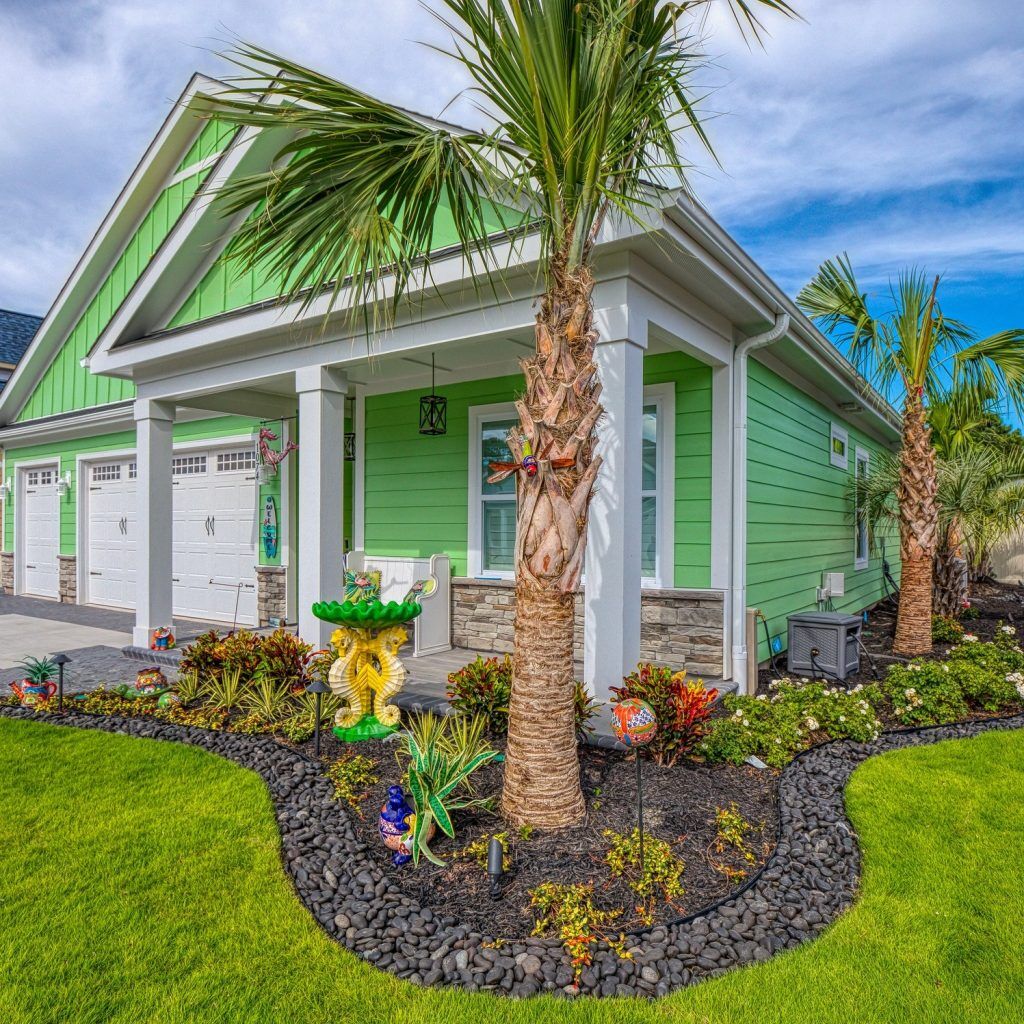 palm tree yard ideas